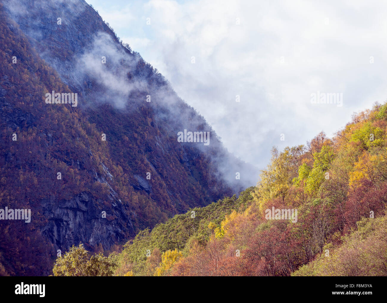 Fall colors in Norway Stock Photo - Alamy