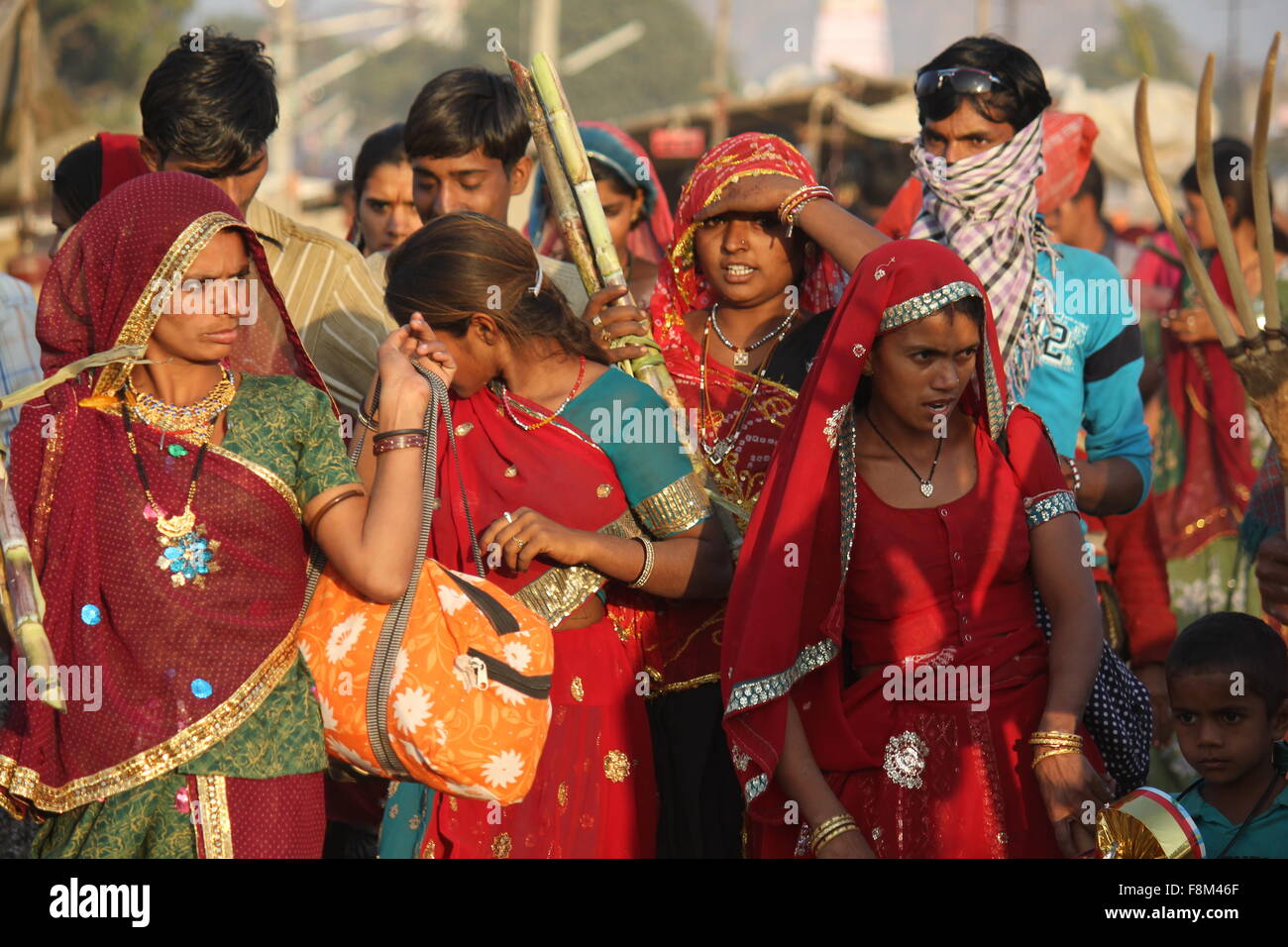 PUSHKAR, INDIA - NOV 28: Indian girls with traditional colored saree on ...