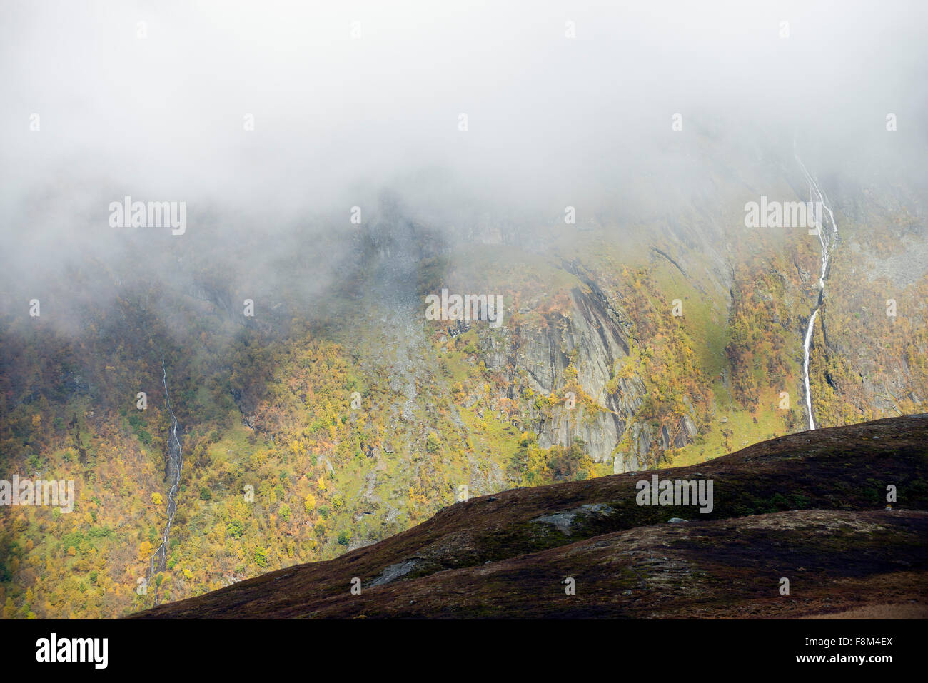 Fall colors in Norway Stock Photo - Alamy