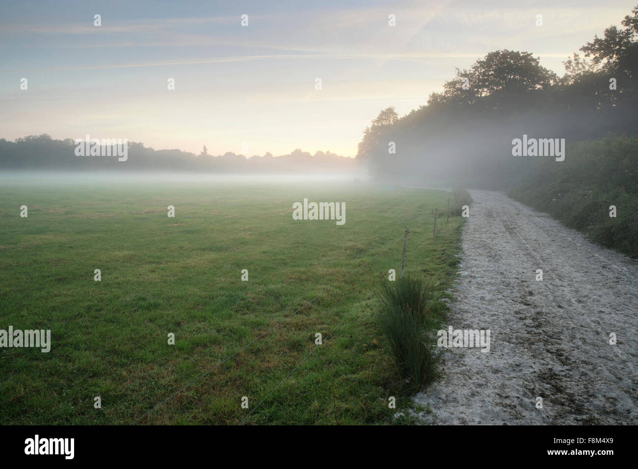 Foggy landscape during sunrise in English countryside landscape Stock ...