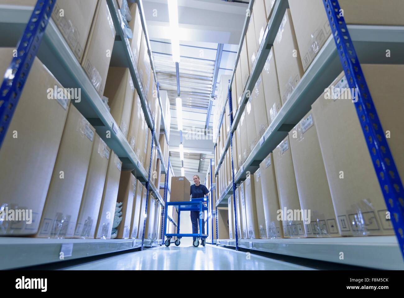 Worker in warehouse of surgical instruments factory Stock Photo - Alamy