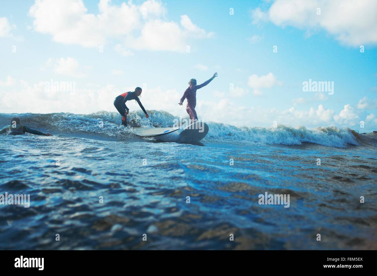 Two surfers surfing in sea Stock Photo - Alamy