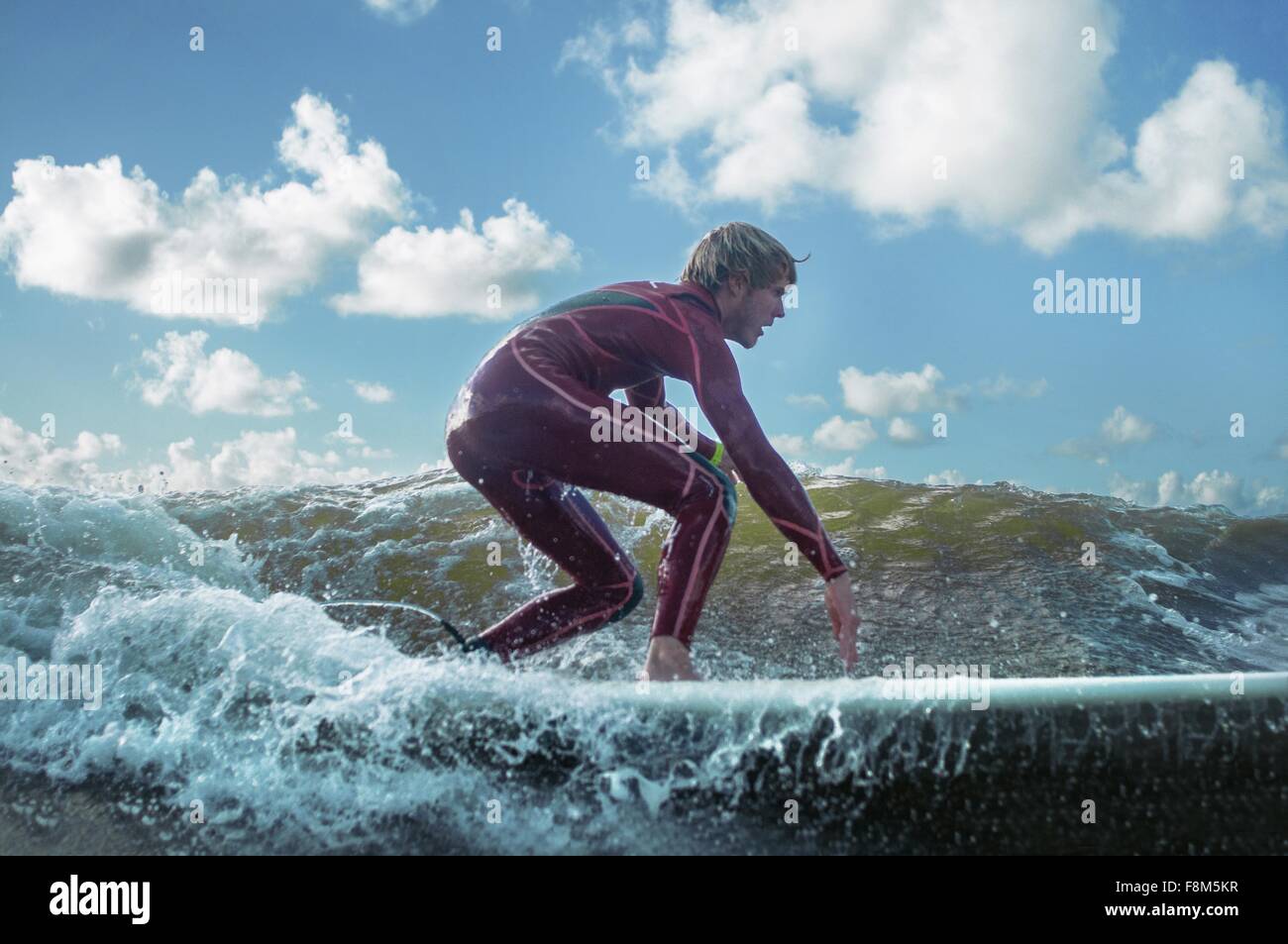 Surfer on surfboard riding hi-res stock photography and images - Alamy