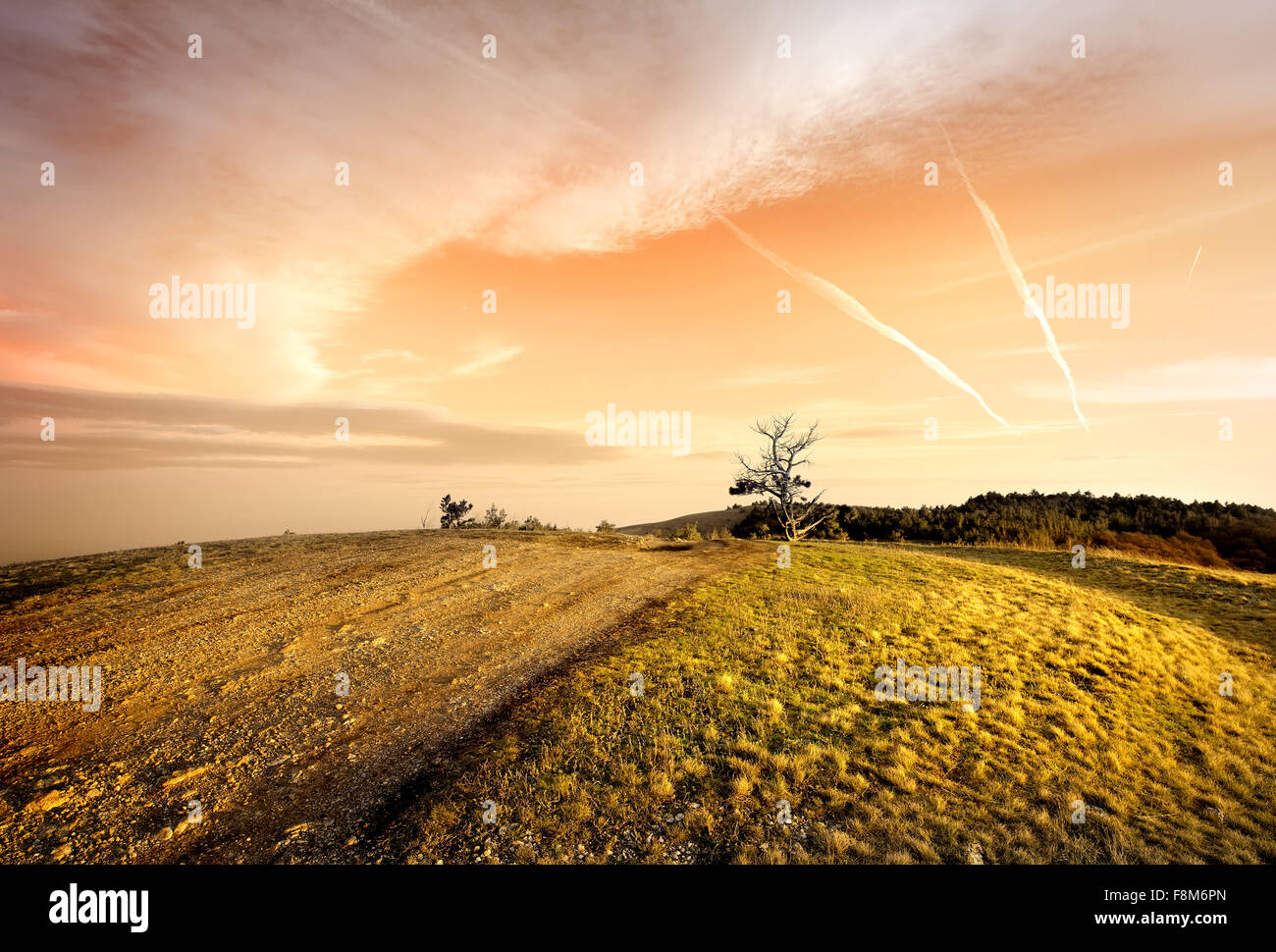 Pink sunset hi-res stock photography and images - Alamy