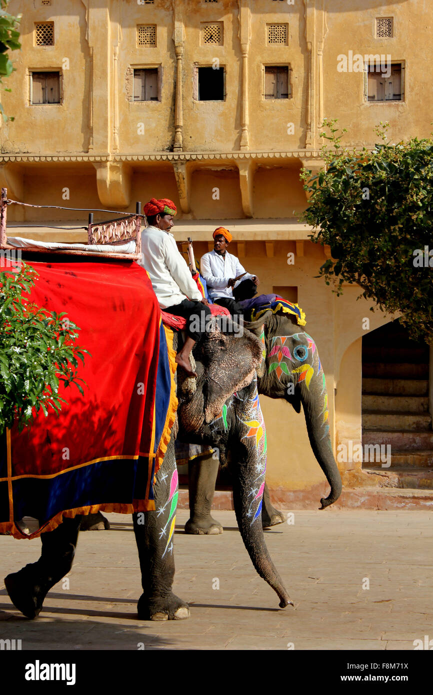 JAIPUR, INDIA - NOV 30: Elephant decorated with traditional painted ...
