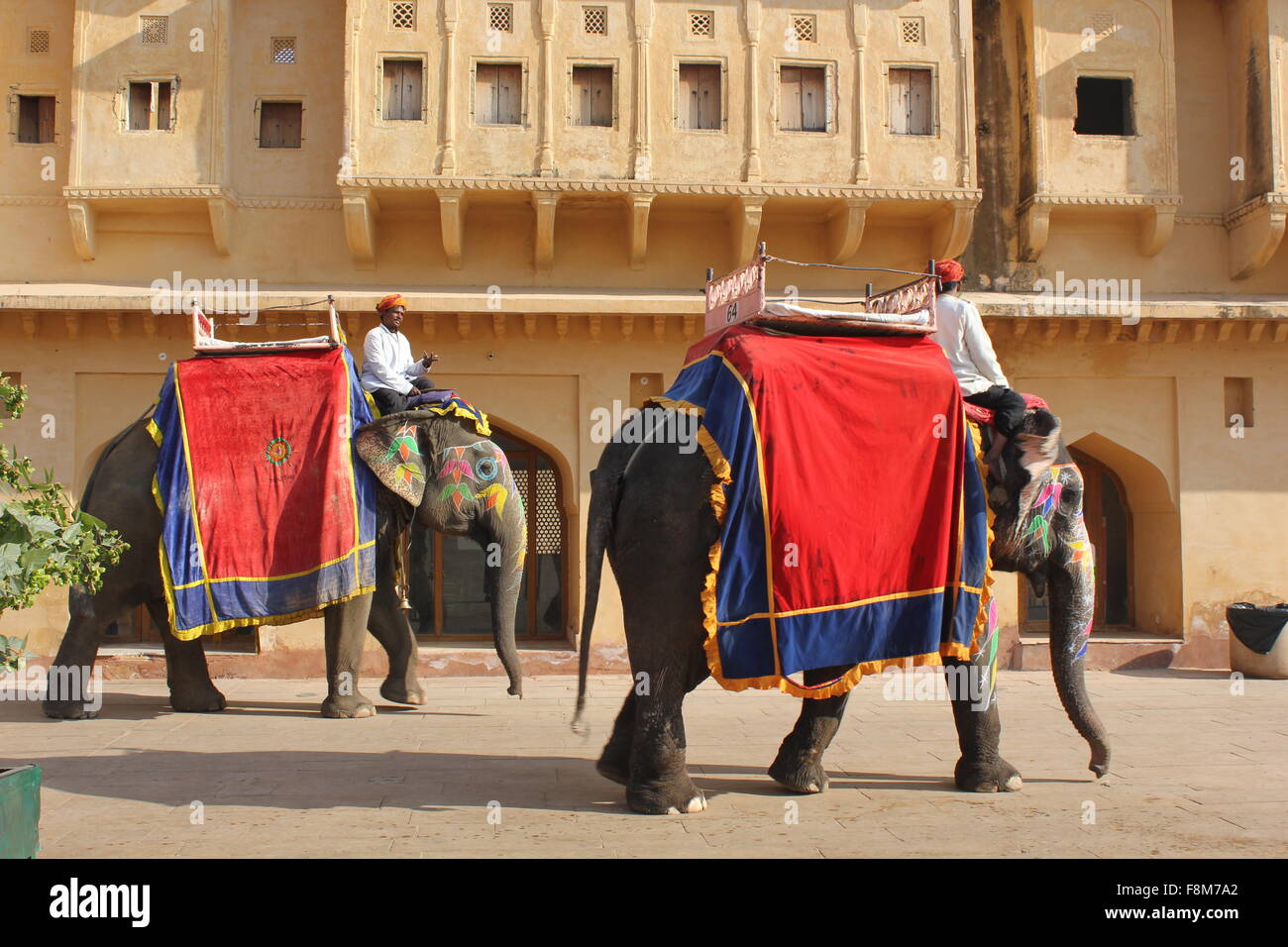JAIPUR, INDIA - NOV 30: Elephant decorated with traditional painted ...