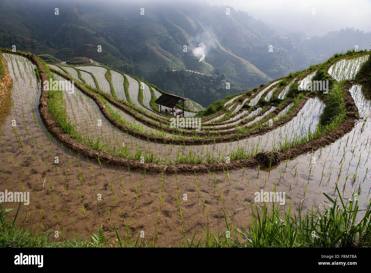 High low rice fields hi-res stock photography and images - Alamy