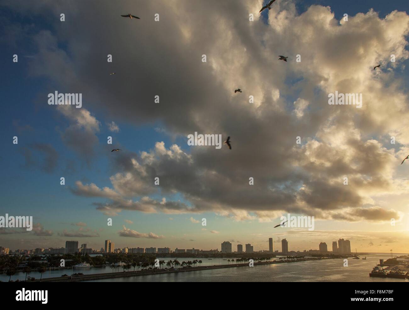 Elevated view of miami skyline hi-res stock photography and images - Alamy