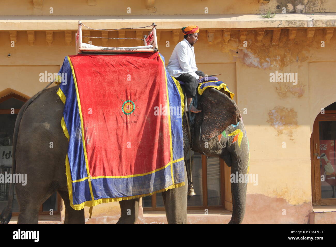 JAIPUR, INDIA - NOV 30: Elephant decorated with traditional painted ...