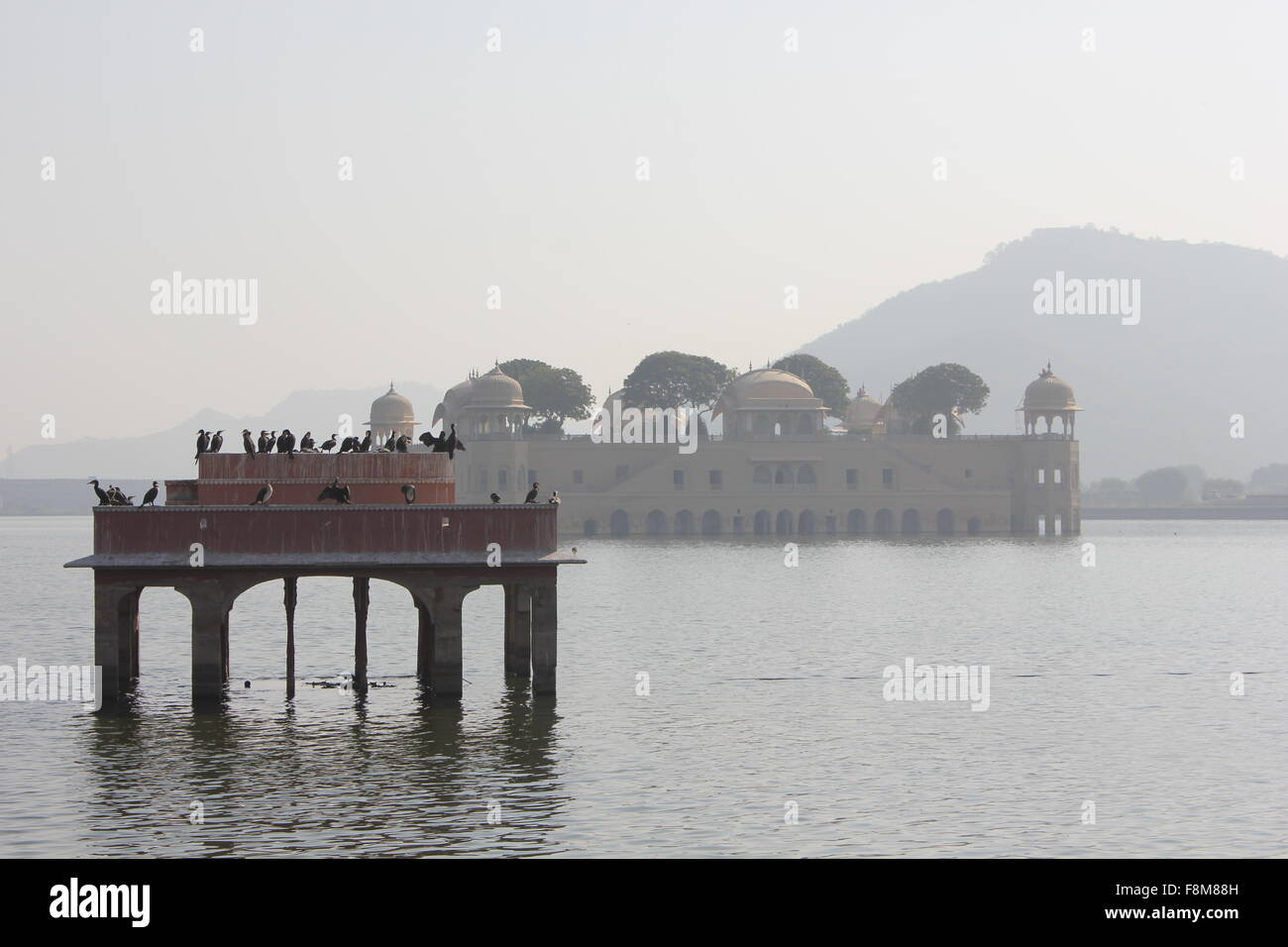Jal mahal palace on lake hi-res stock photography and images - Alamy