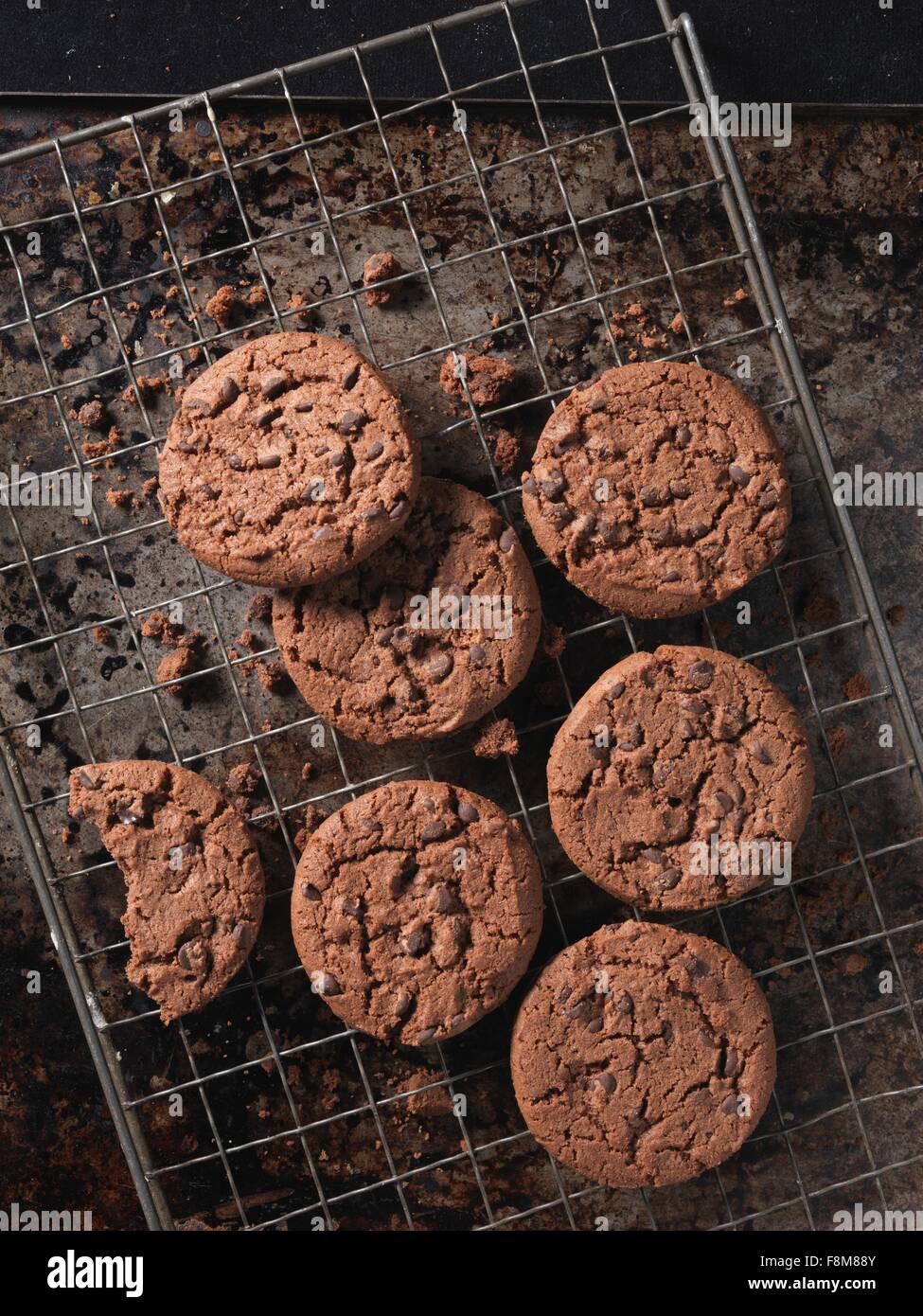 Overhead view of double chocolate chip crunchy cookies cookies on ...