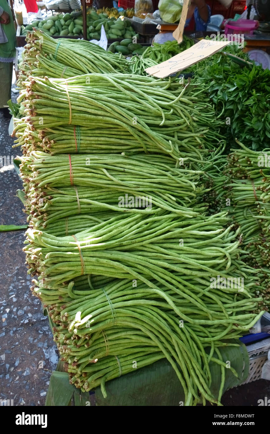 Growing Chinese Long Beans