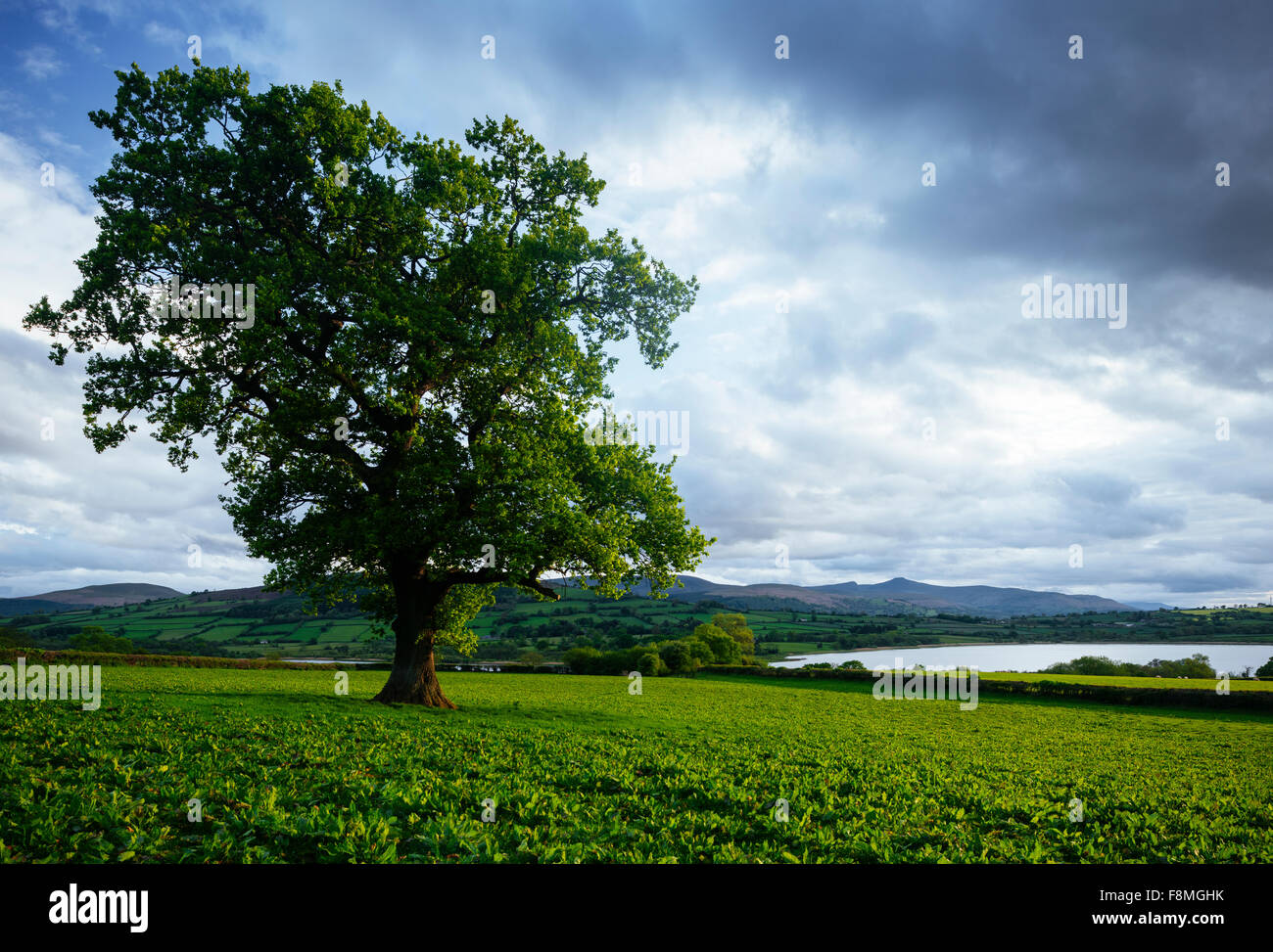 Usk valley wales hi-res stock photography and images - Alamy