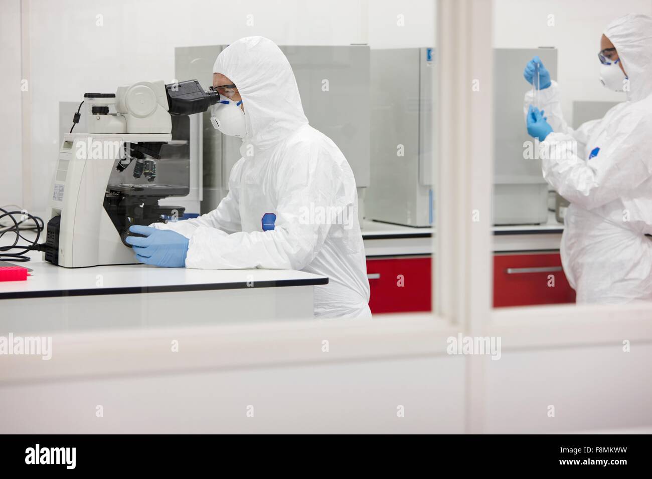 Scientist using microscope in laboratory Stock Photo - Alamy