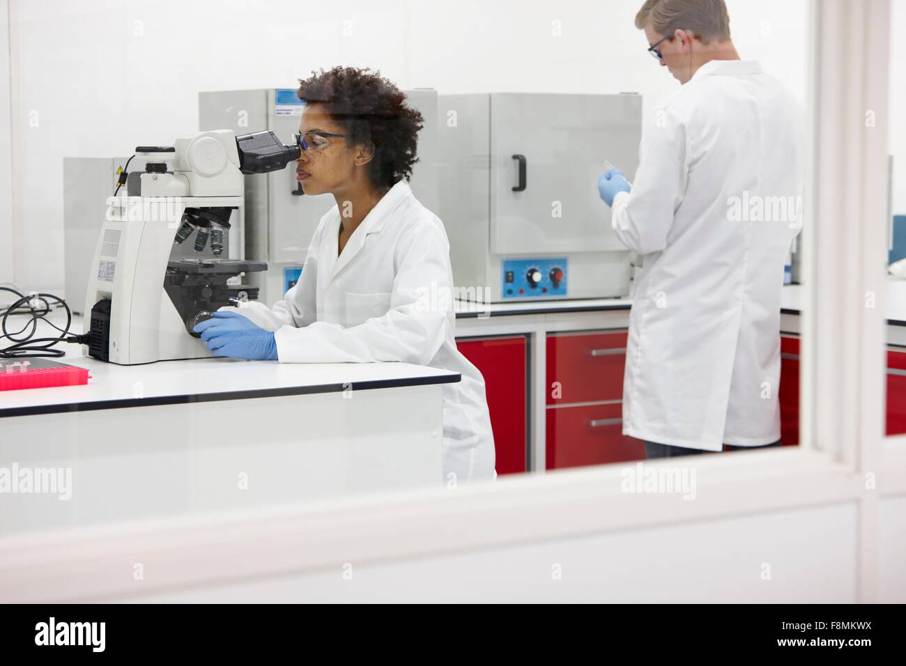 Male scientist working microscope in hi-res stock photography and ...