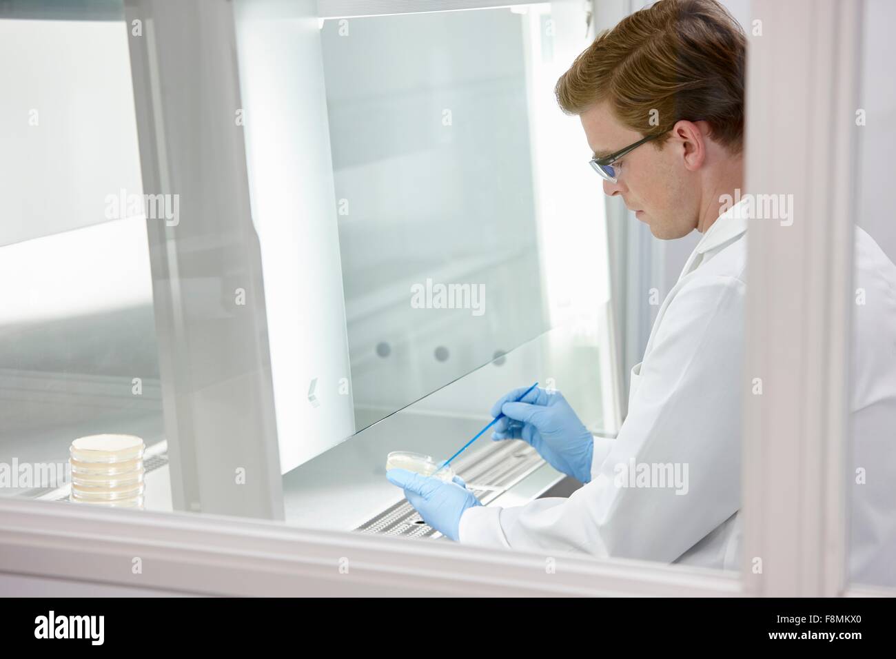 Scientist working in laboratory Stock Photo - Alamy
