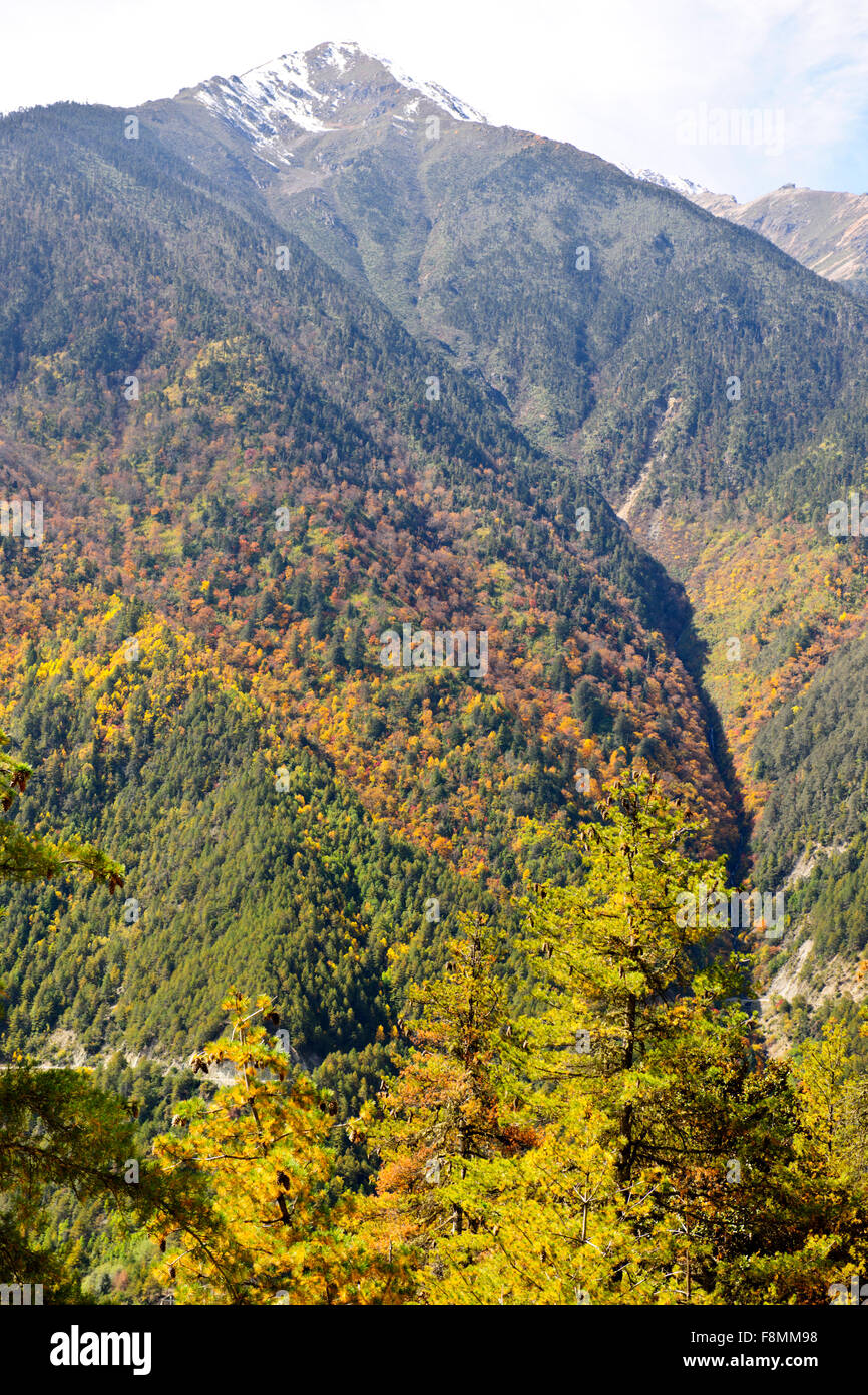 Mountain Ranges,Wooded Hillsides,Valleys,River Systems,Tibetan ...