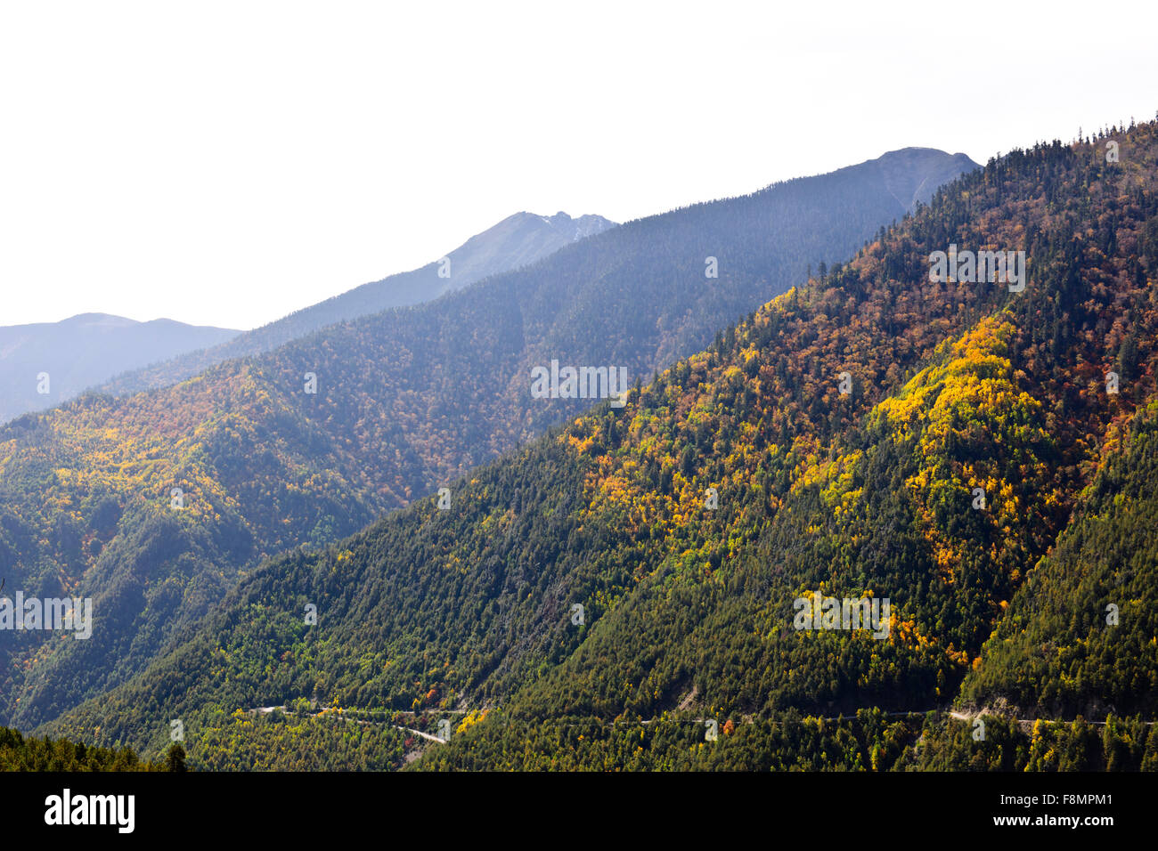 Mountain Ranges,Wooded Hillsides,Valleys,River Systems,Tibetan ...