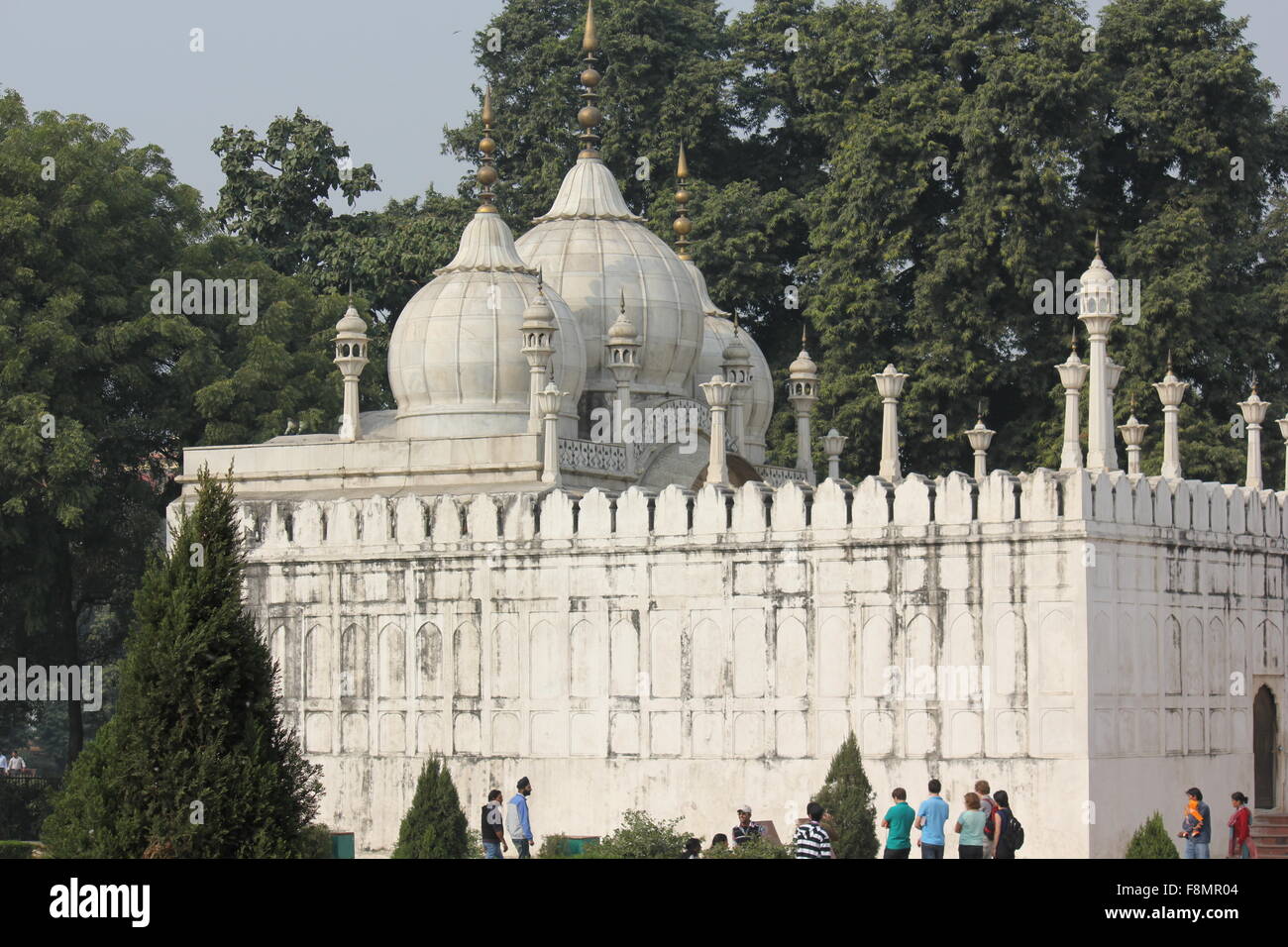 DELHI, INDIA - NOV 25: Architectural detail of Moti Masjid, in english ...