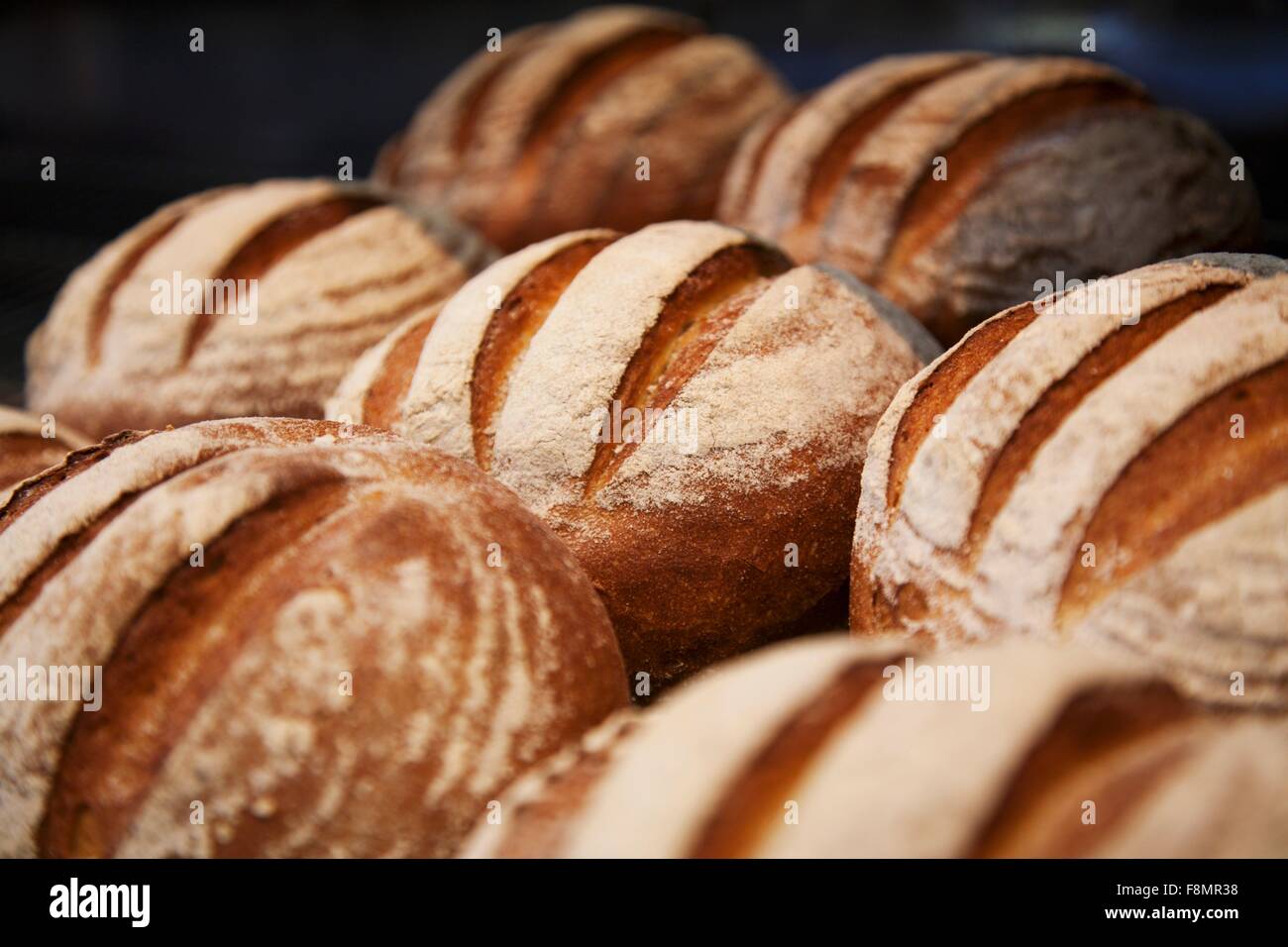 Several loaves of bread Stock Photo - Alamy