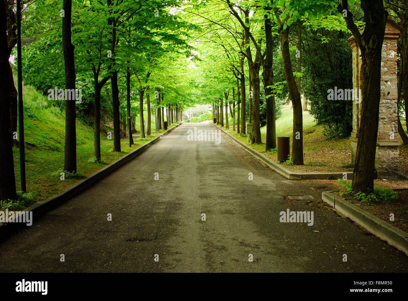 Italian boulevard hi-res stock photography and images - Alamy