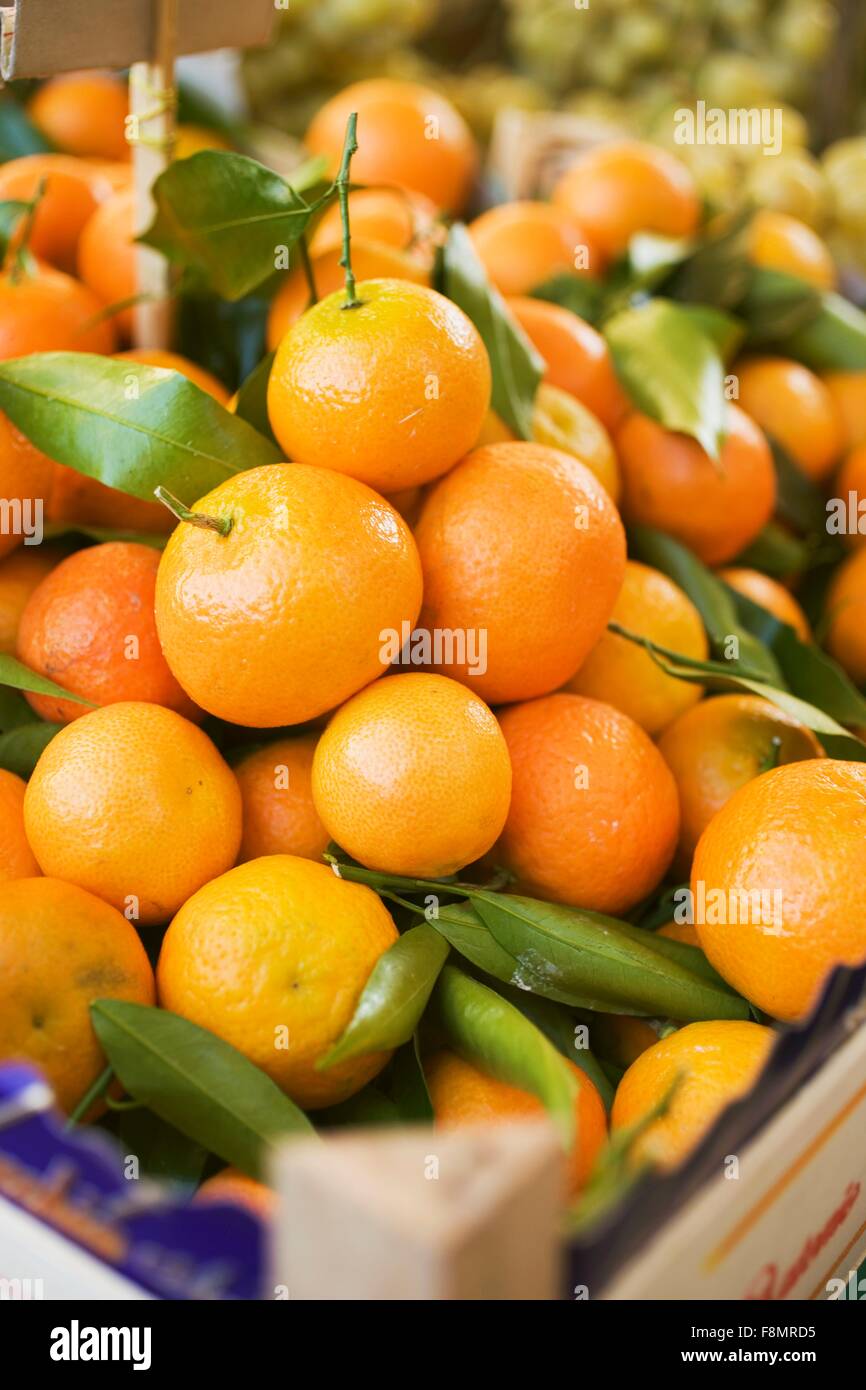 Clementines in crates at a market Stock Photo - Alamy