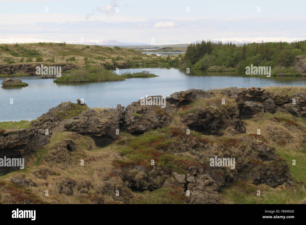 Lava rocks at Lake Myvatn Northeast Iceland Stock Photo - Alamy