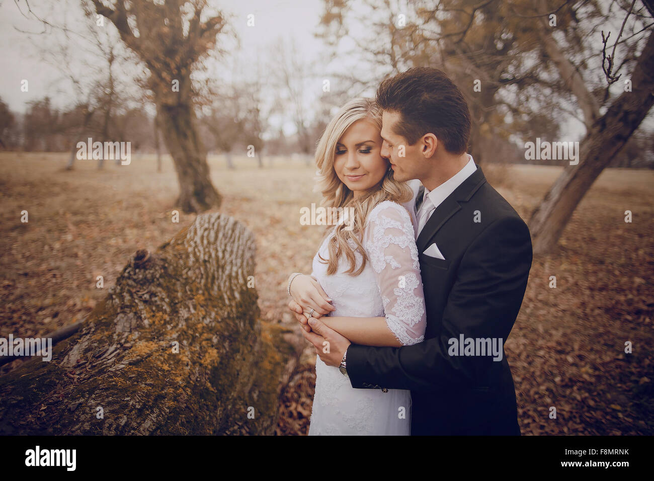 perfect wedding day Stock Photo - Alamy