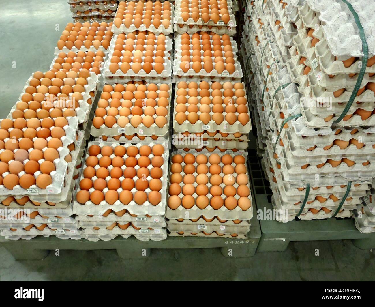 Eggs stacked on pallet hi-res stock photography and images - Alamy