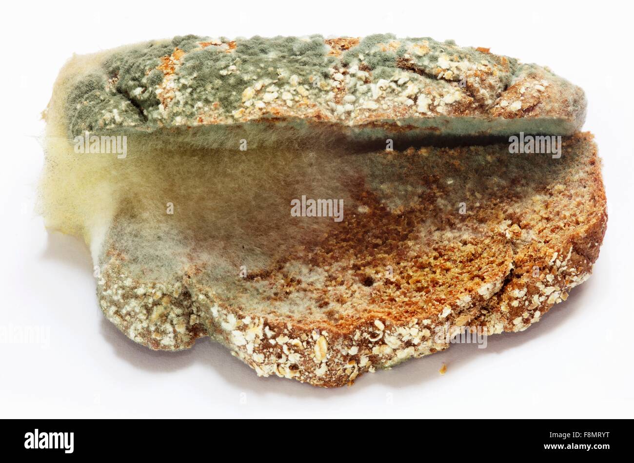 Mouldy wholemeal bread Stock Photo - Alamy
