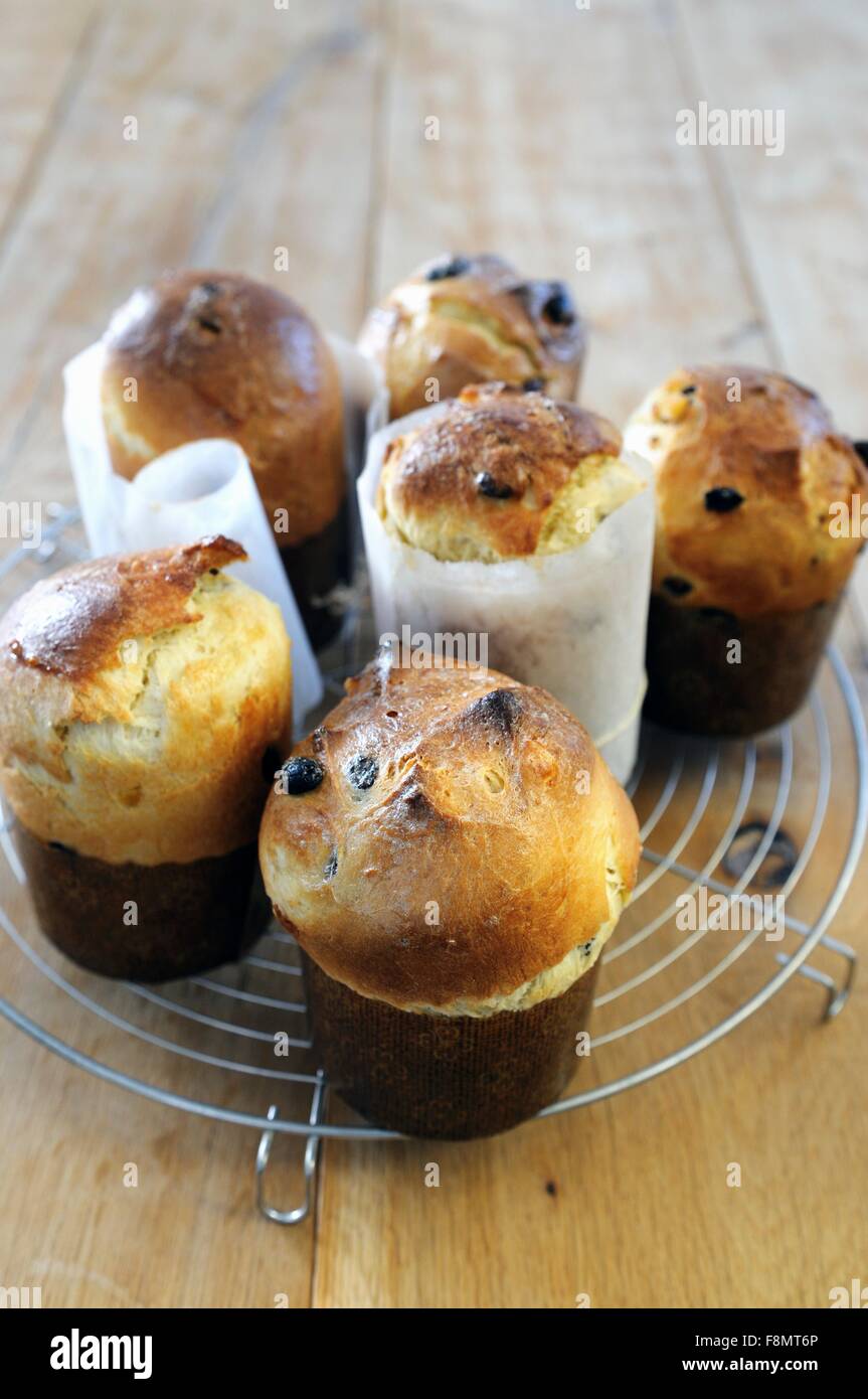 Mini panettone on a wire rack (Italy Stock Photo - Alamy