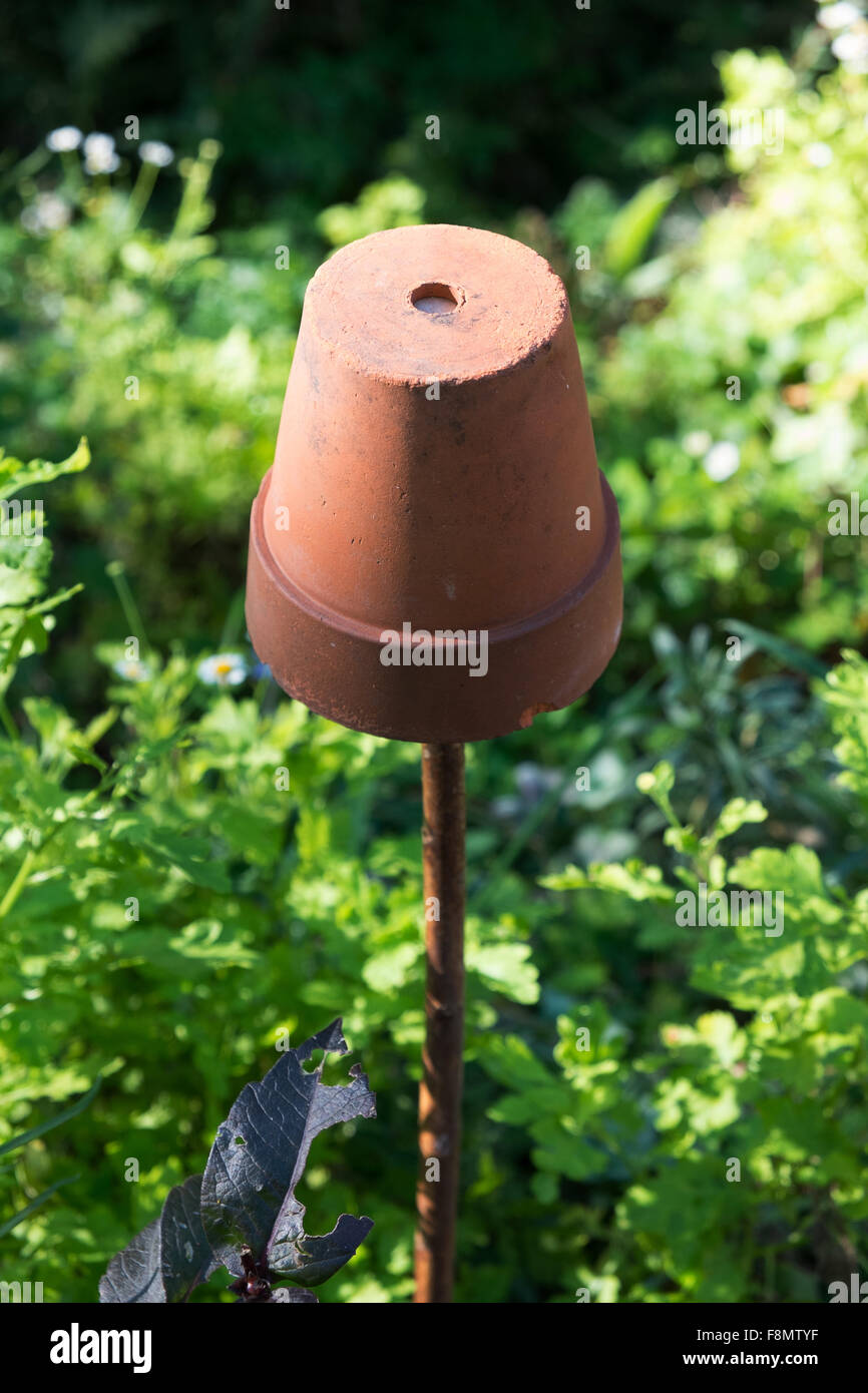 Upturned brown ceramic flower pot on a wooden cane on an allotment ...