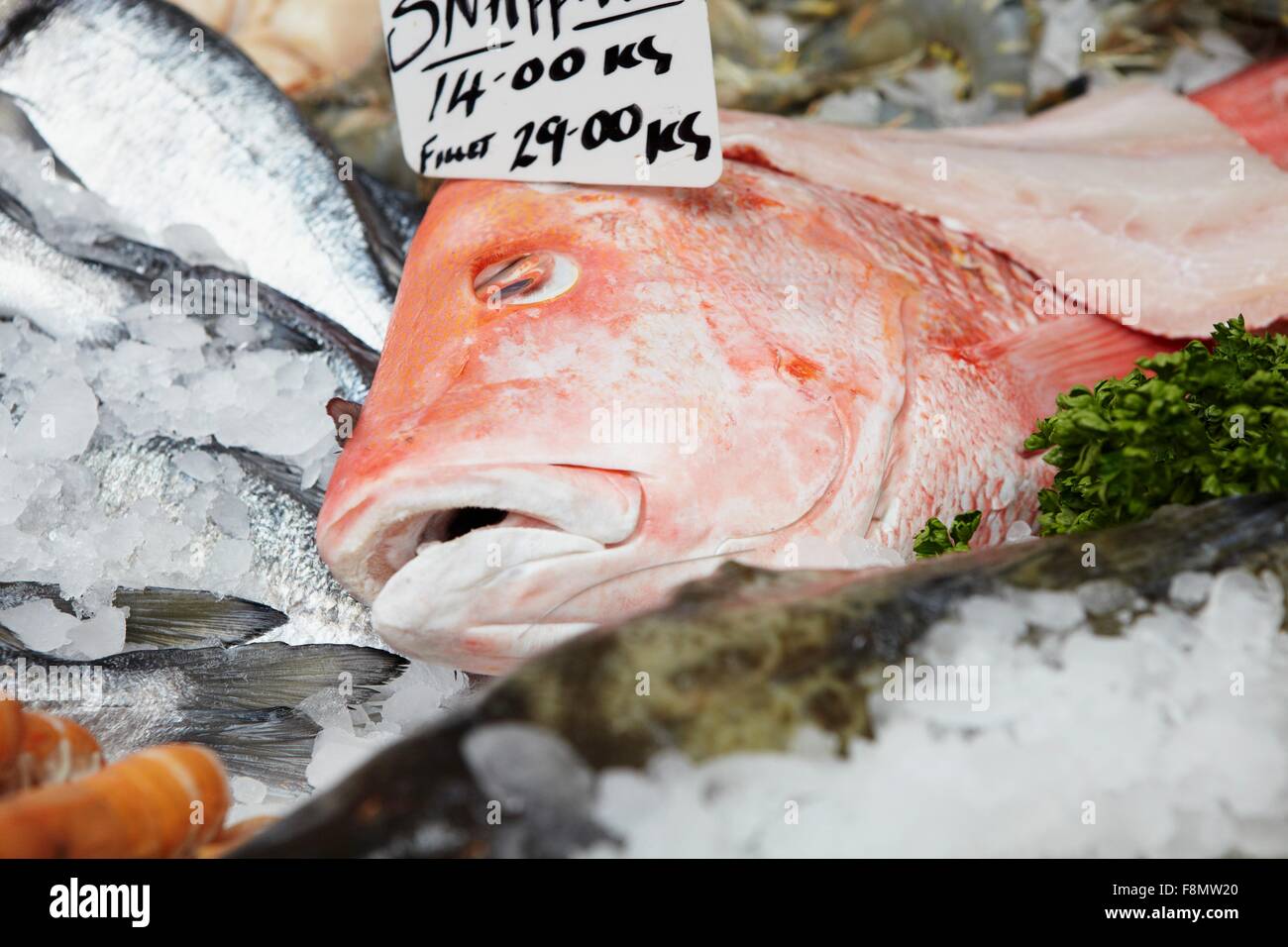 Fish price tag hi-res stock photography and images - Alamy
