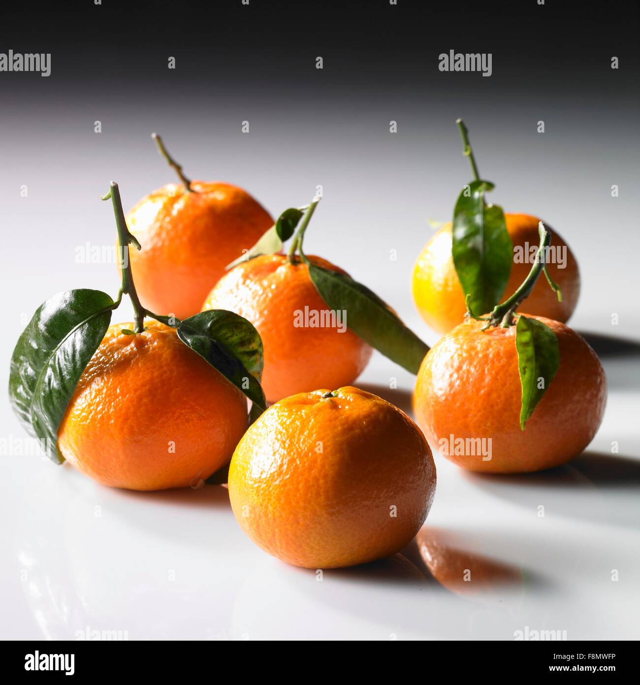 Mandarins with stems and leaves Stock Photo - Alamy