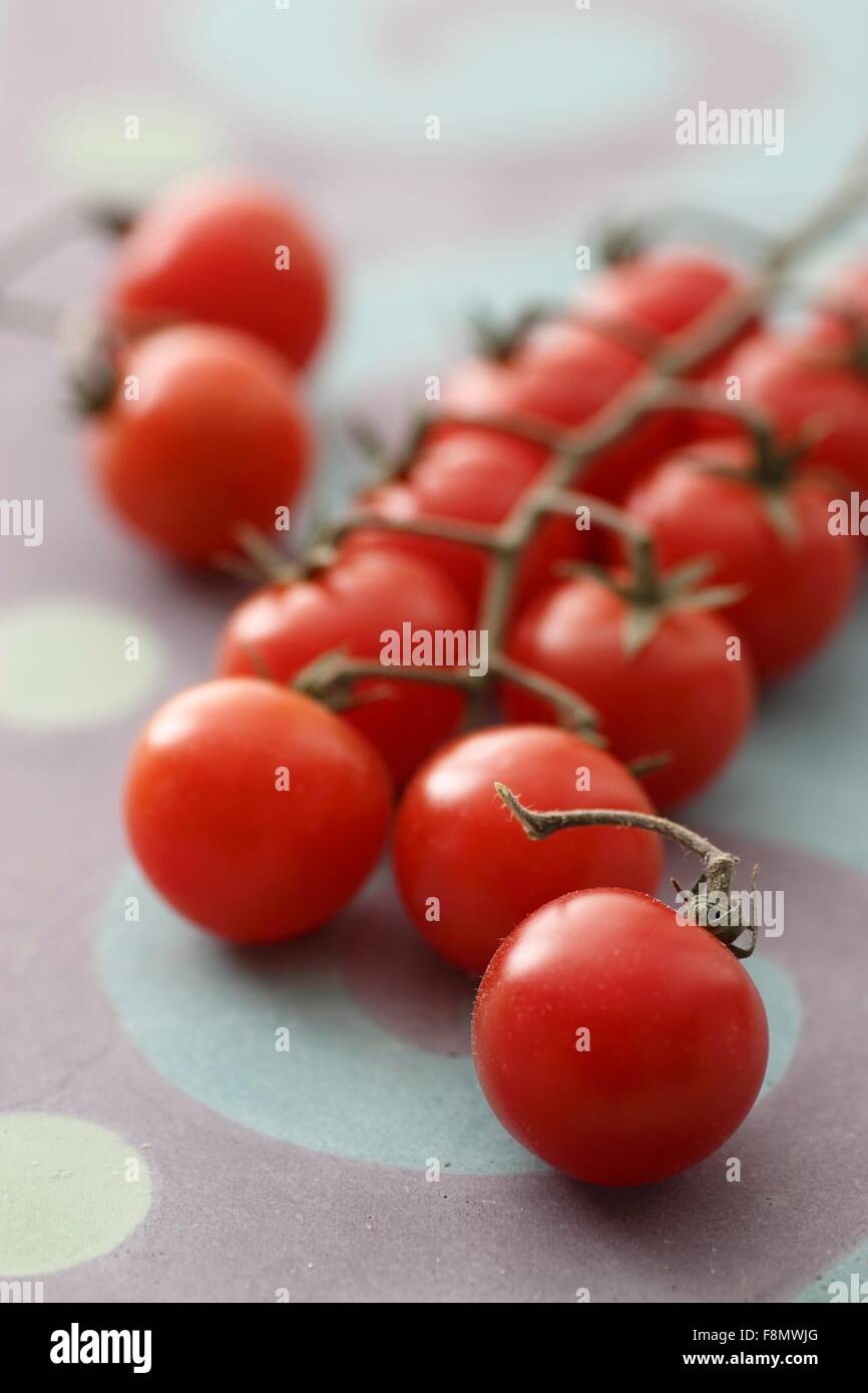 Tomato and cherry hi-res stock photography and images - Alamy