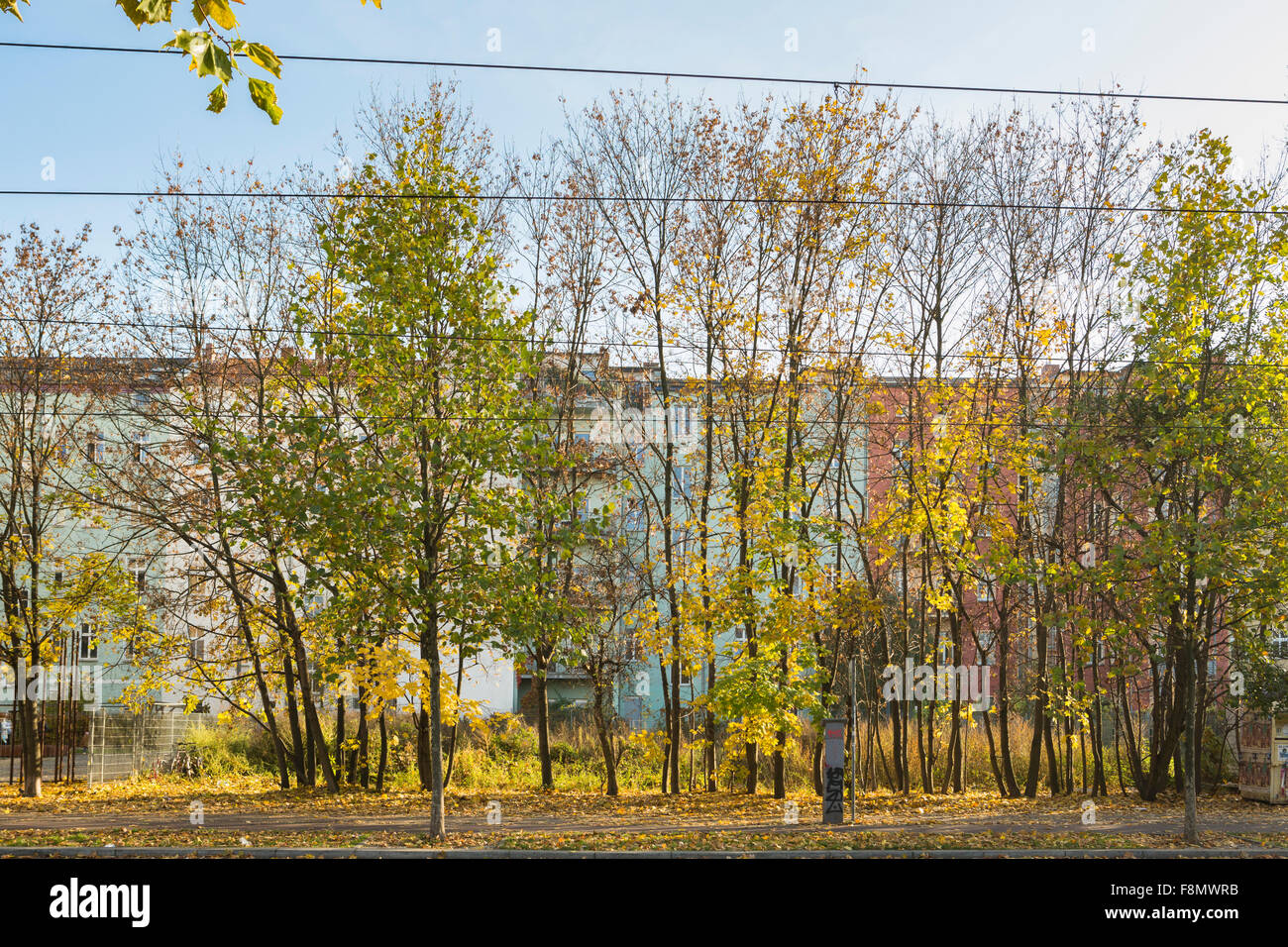 Autumn trees, with apartment buildings behind, Bernauer Straße, Berlin ...