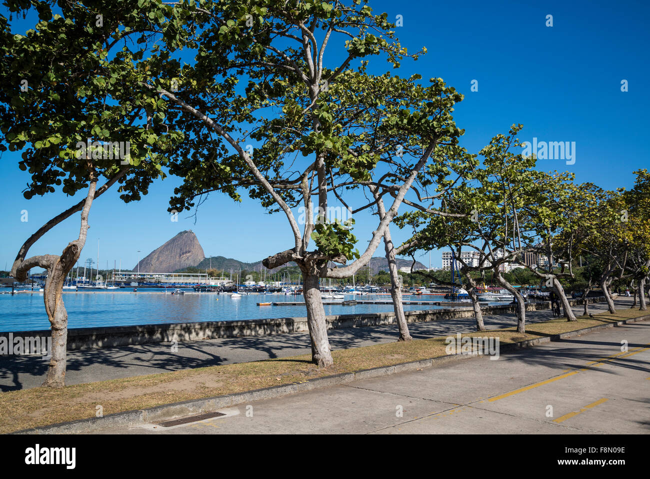 Rio flamengo park hi-res stock photography and images - Alamy