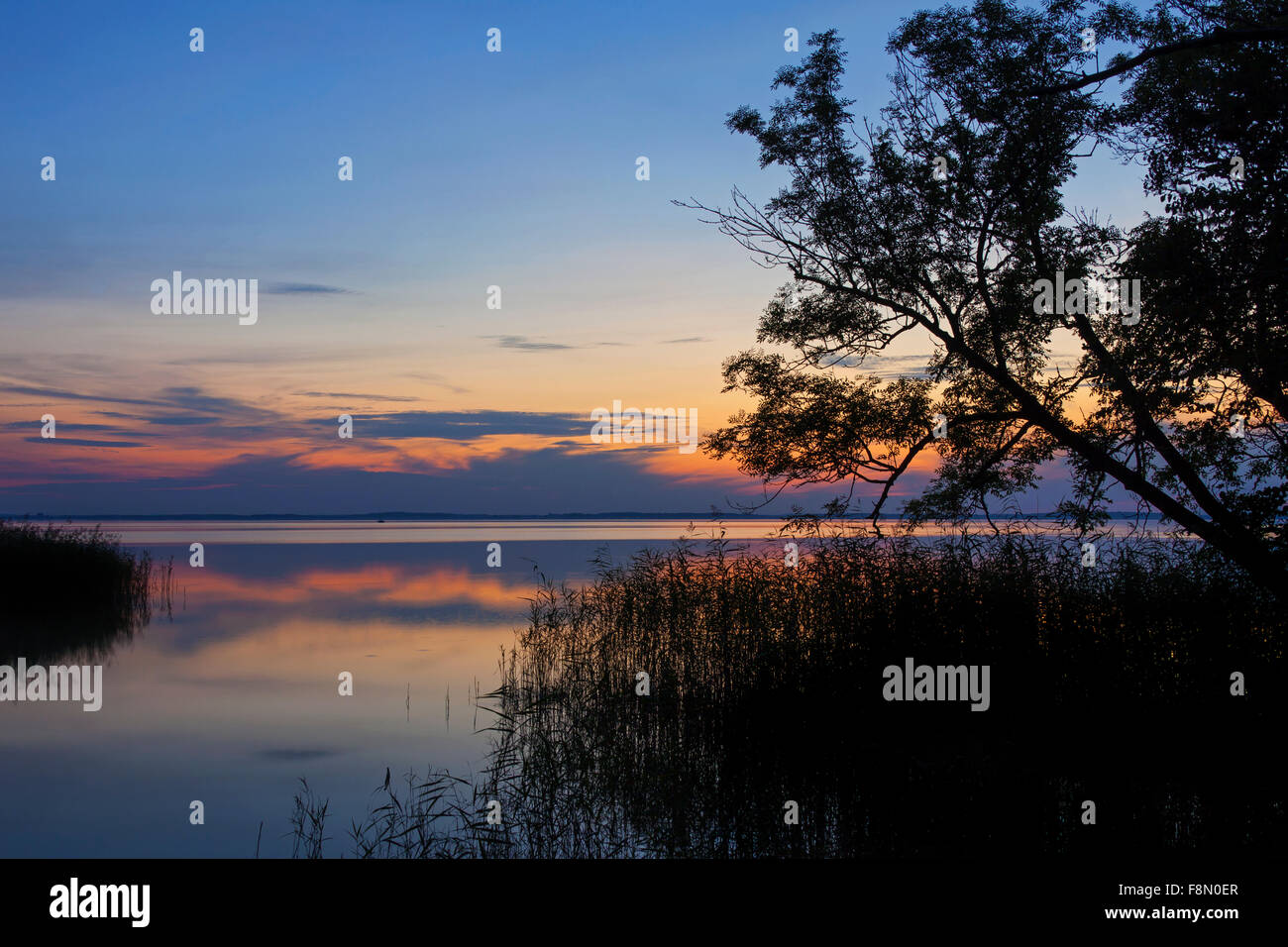 Lake Mueritz at sunset in the Müritz National Park / Müritz ...