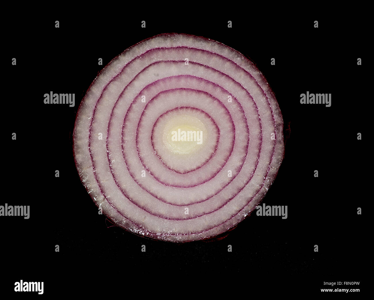Section through red onion hi-res stock photography and images - Alamy