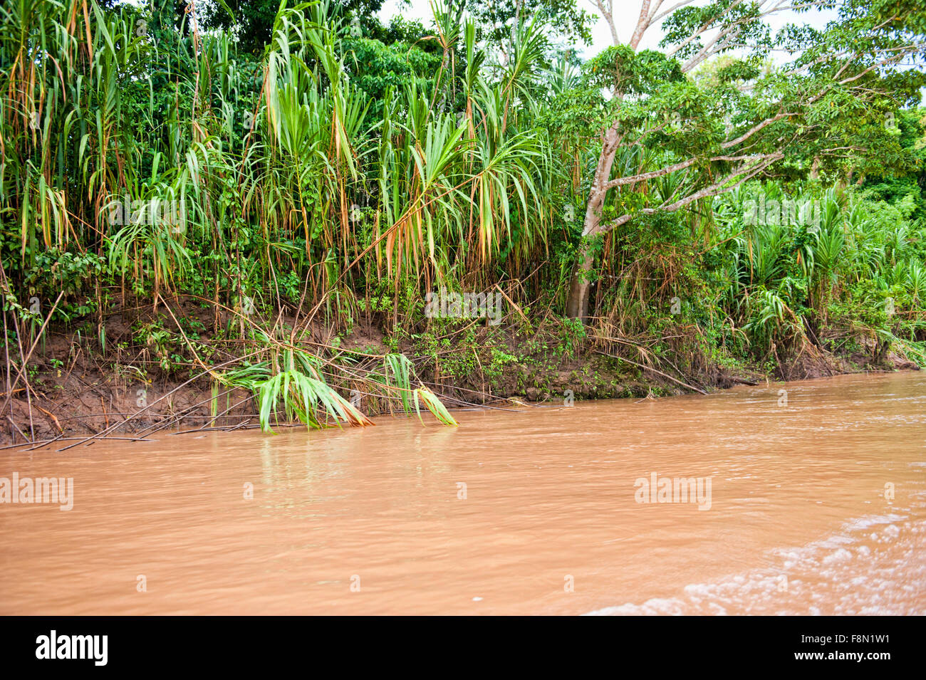 Amazon River Outdoors Stock Photo - Alamy