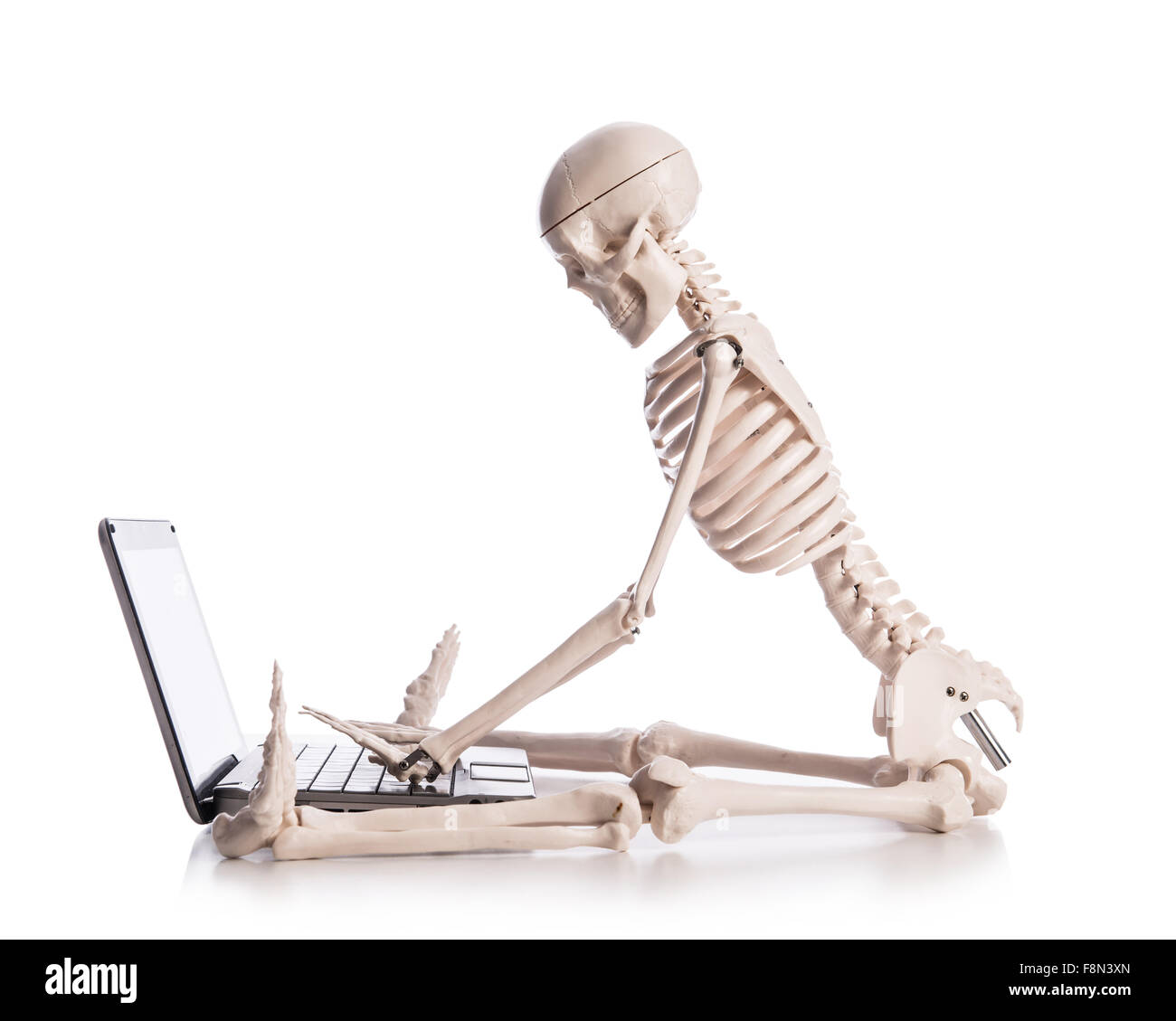 Skeleton working on laptop Stock Photo - Alamy