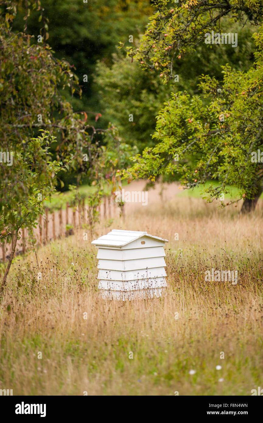 White wooden bee hive in the garden Stock Photo - Alamy