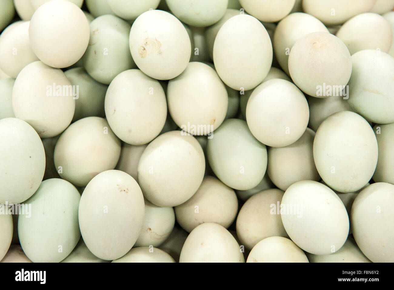 Collection of small brown spotted eggs Stock Photo - Alamy