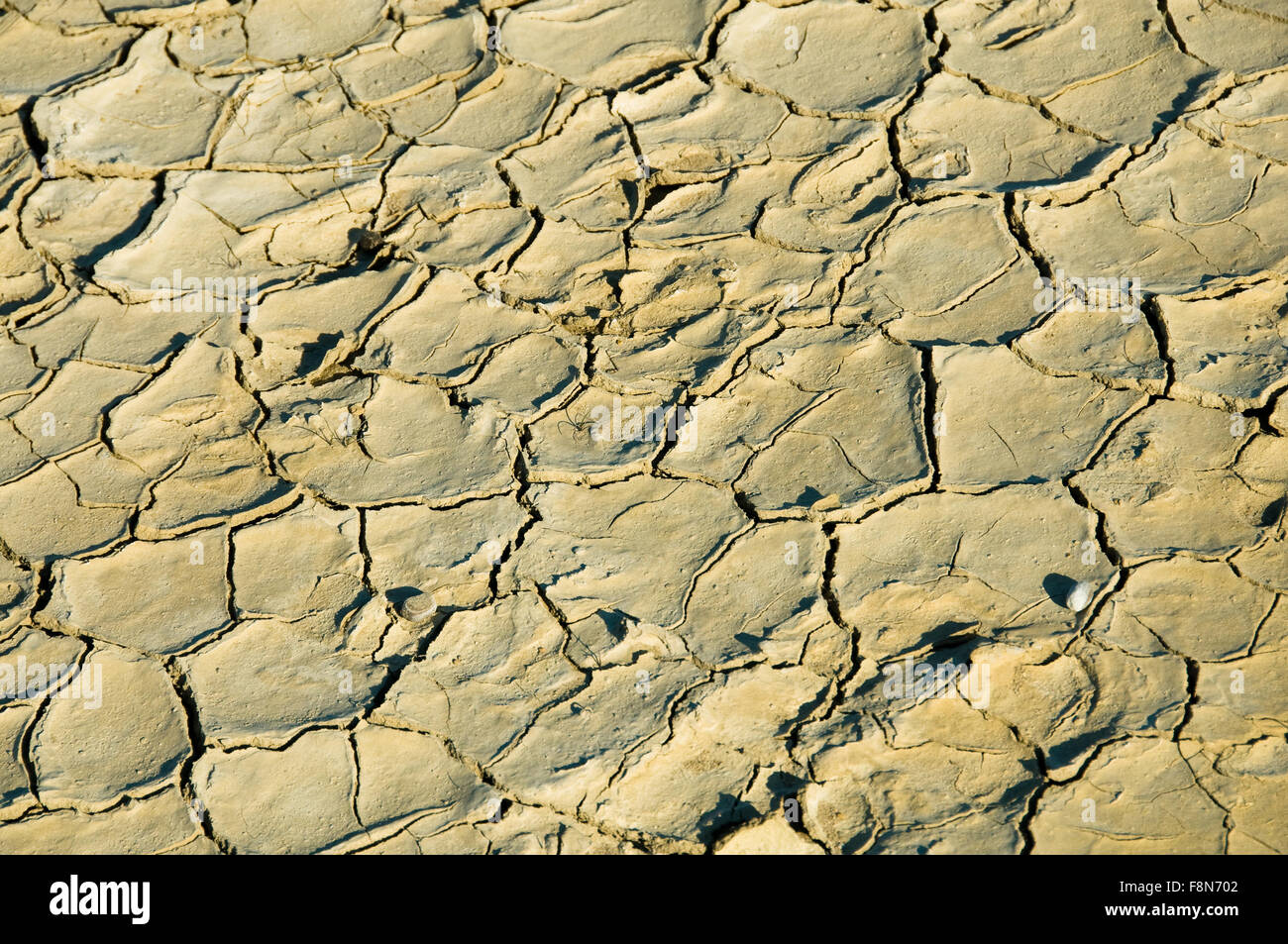 Background of dried surface of lake Stock Photo - Alamy