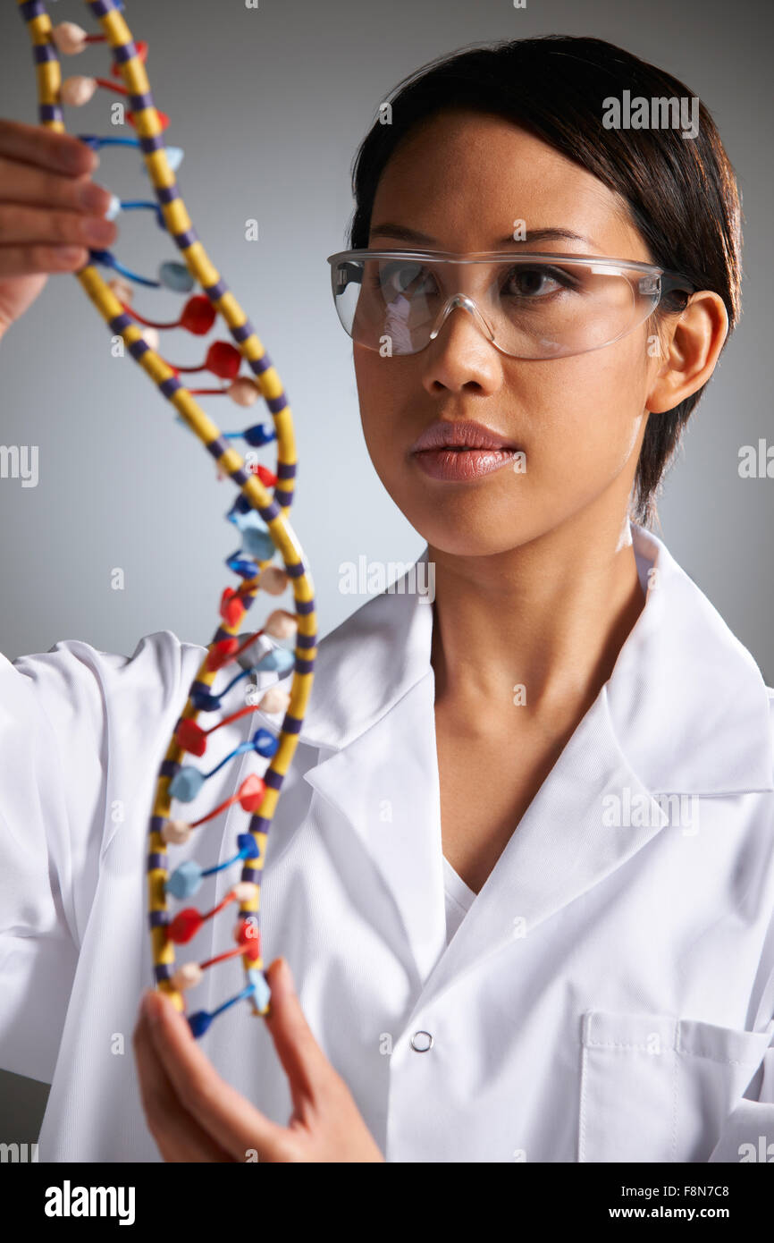 Female scientist holding molecule model hi-res stock photography and ...