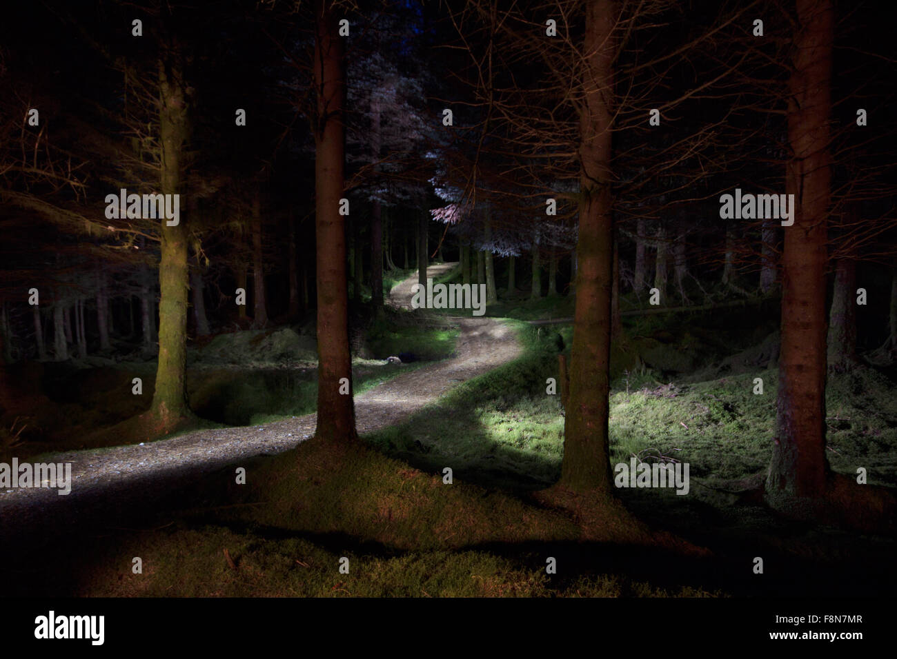 Galloway forest night hi-res stock photography and images - Alamy