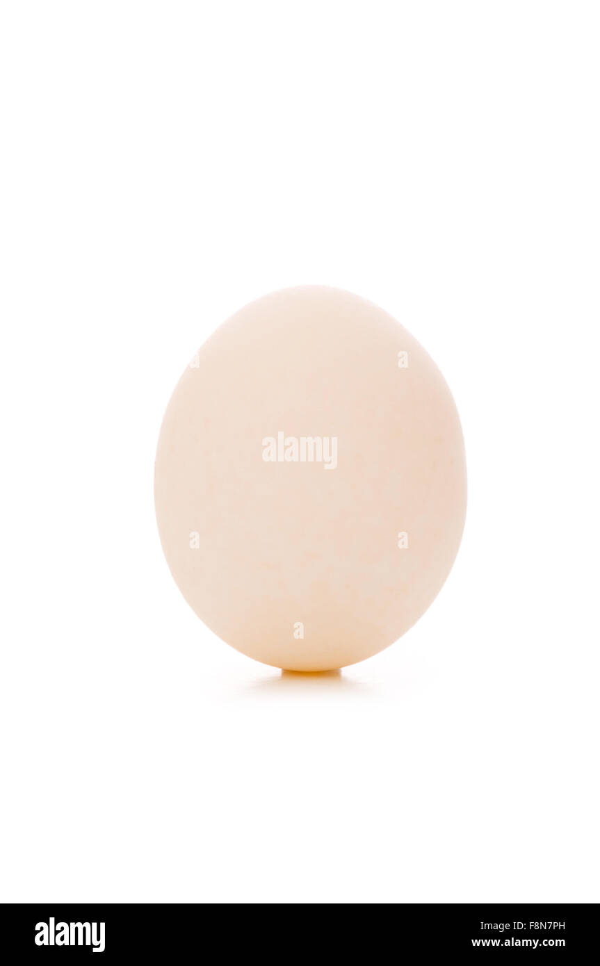 One egg isolated on the white background Stock Photo - Alamy