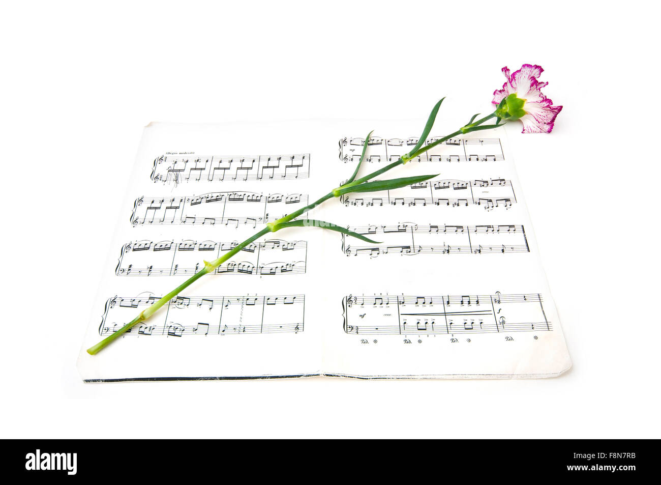Musical flower arrangement Cut Out Stock Images & Pictures - Alamy