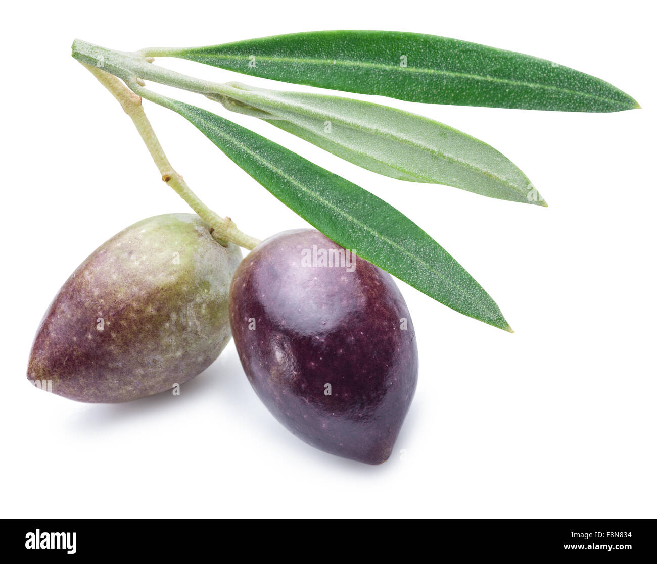 Two olives with leaves. File contains clipping paths Stock Photo - Alamy