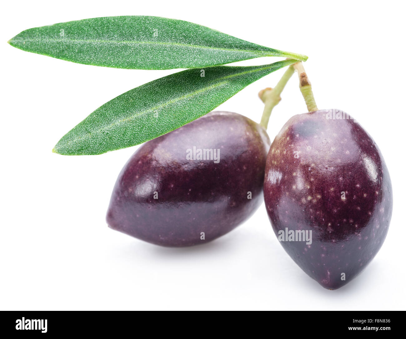 Two fresh olives with leaves on the white background Stock Photo - Alamy